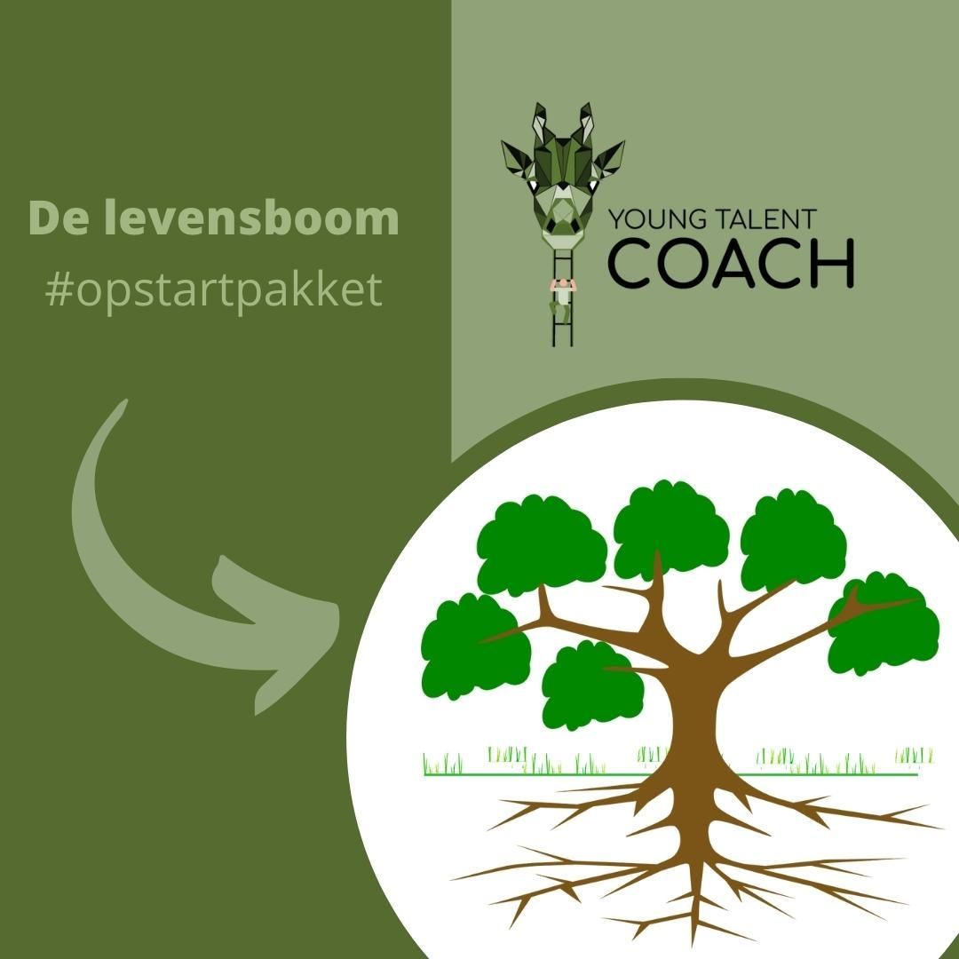 Mijn eerste periode als decaan - Young Talent Coach
